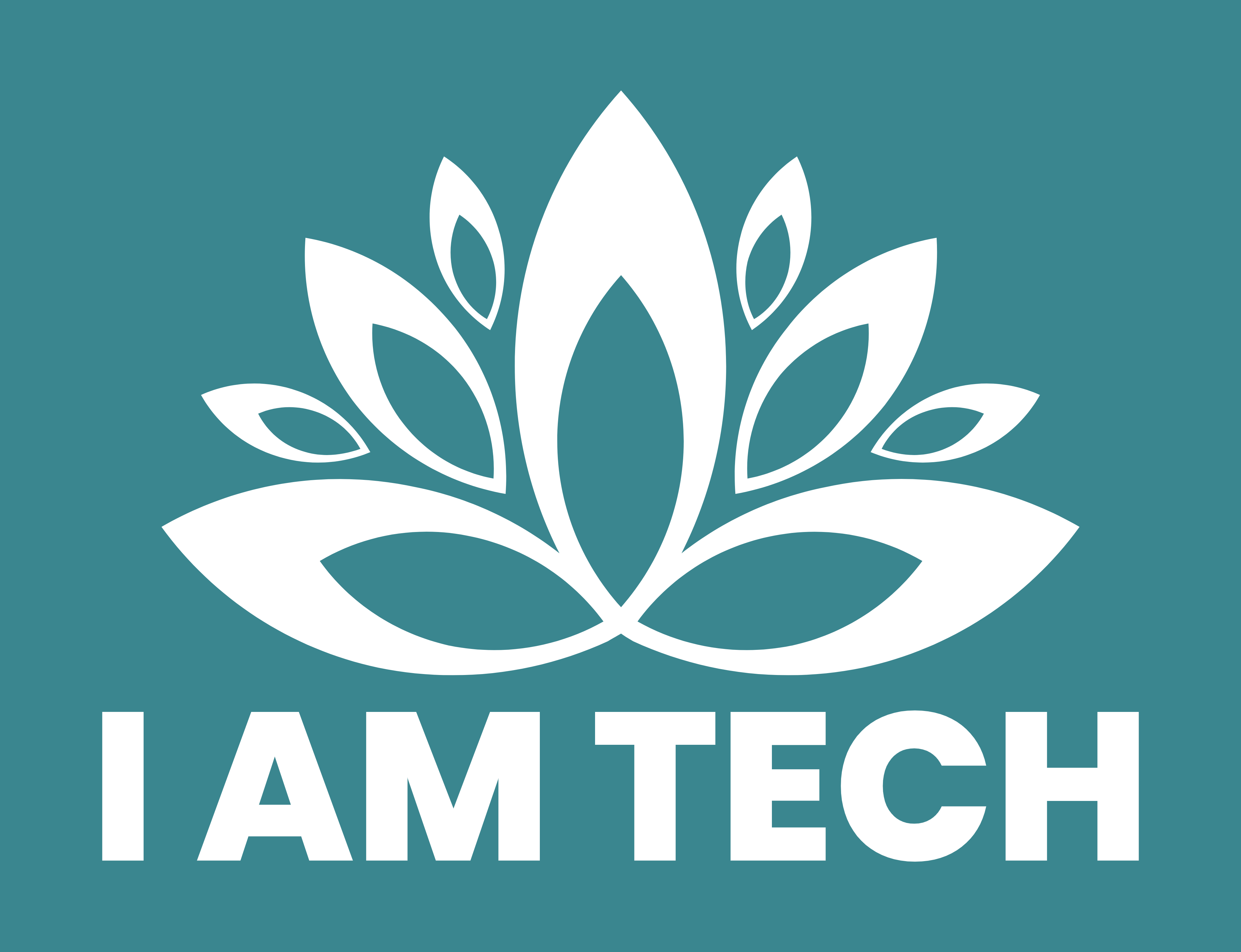 About – I AM TECH Consulting